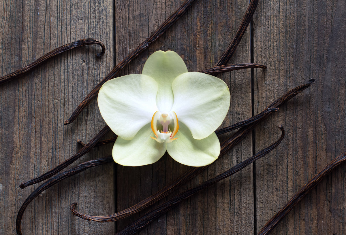 GOURMAND | delicious diffusible home scents | ScentFluence ...